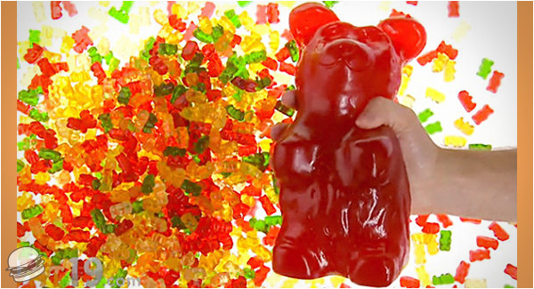 The World’s Largest Gummy Bear : Damn That Looks Good